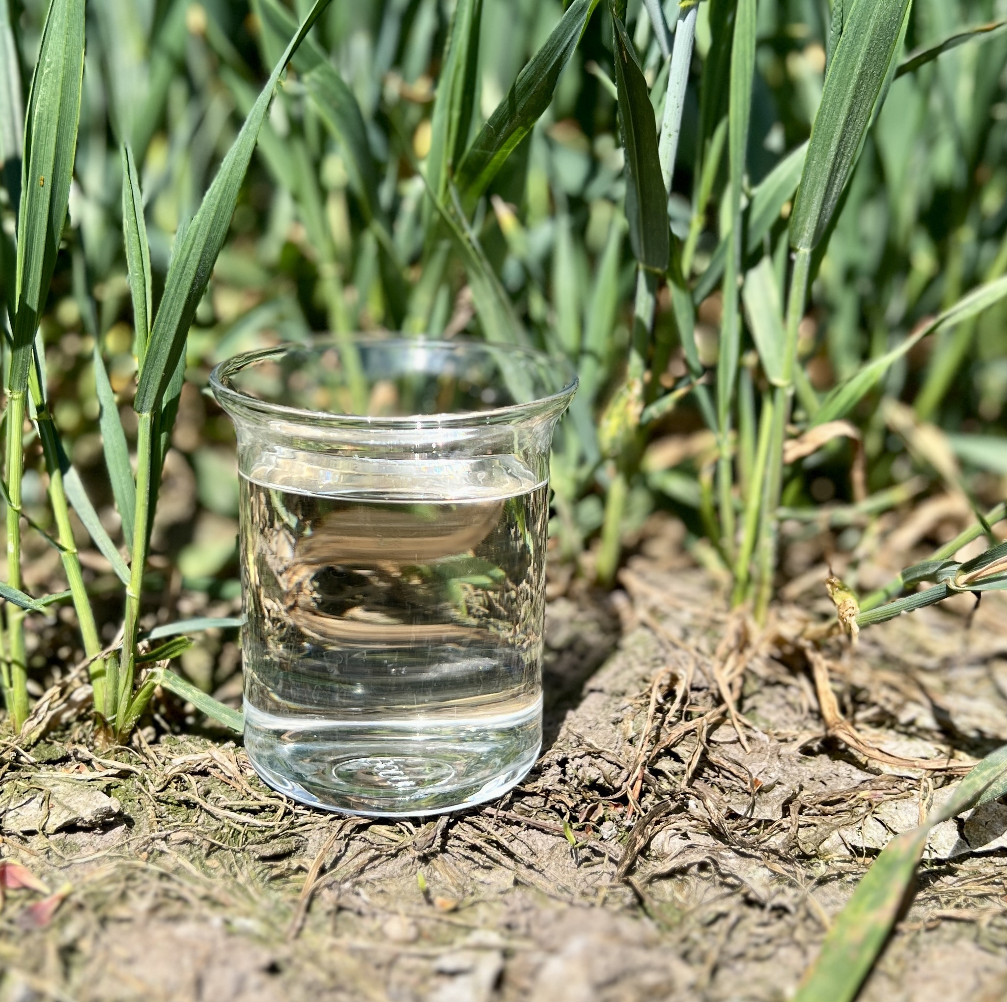 PRO AMS 39% - ProFertilizer shop - Flydende additiv til optimering af ...